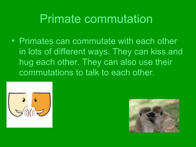 Primate project | PPT