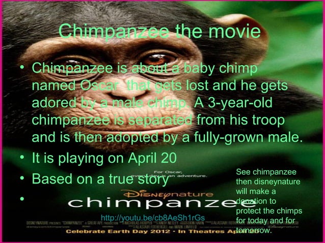 Primate project | PPT