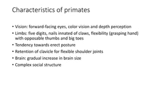 EVOLUTION AND PRIMATE SYSTEMATICS...pdf
