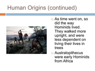 Primates And Human Origins | PPTX