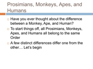 Primates And Human Origins | PPTX