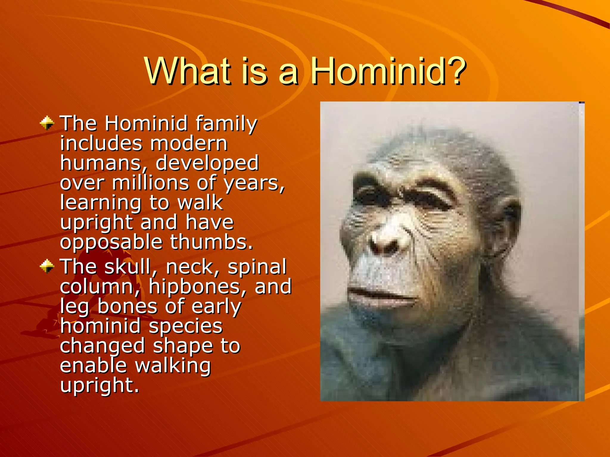 Primates And Human Origins Powerpoint | PPT