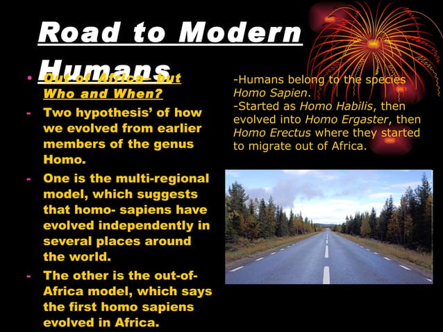 Primates And Human Origins Powerpoint | PPT | Geology | Science