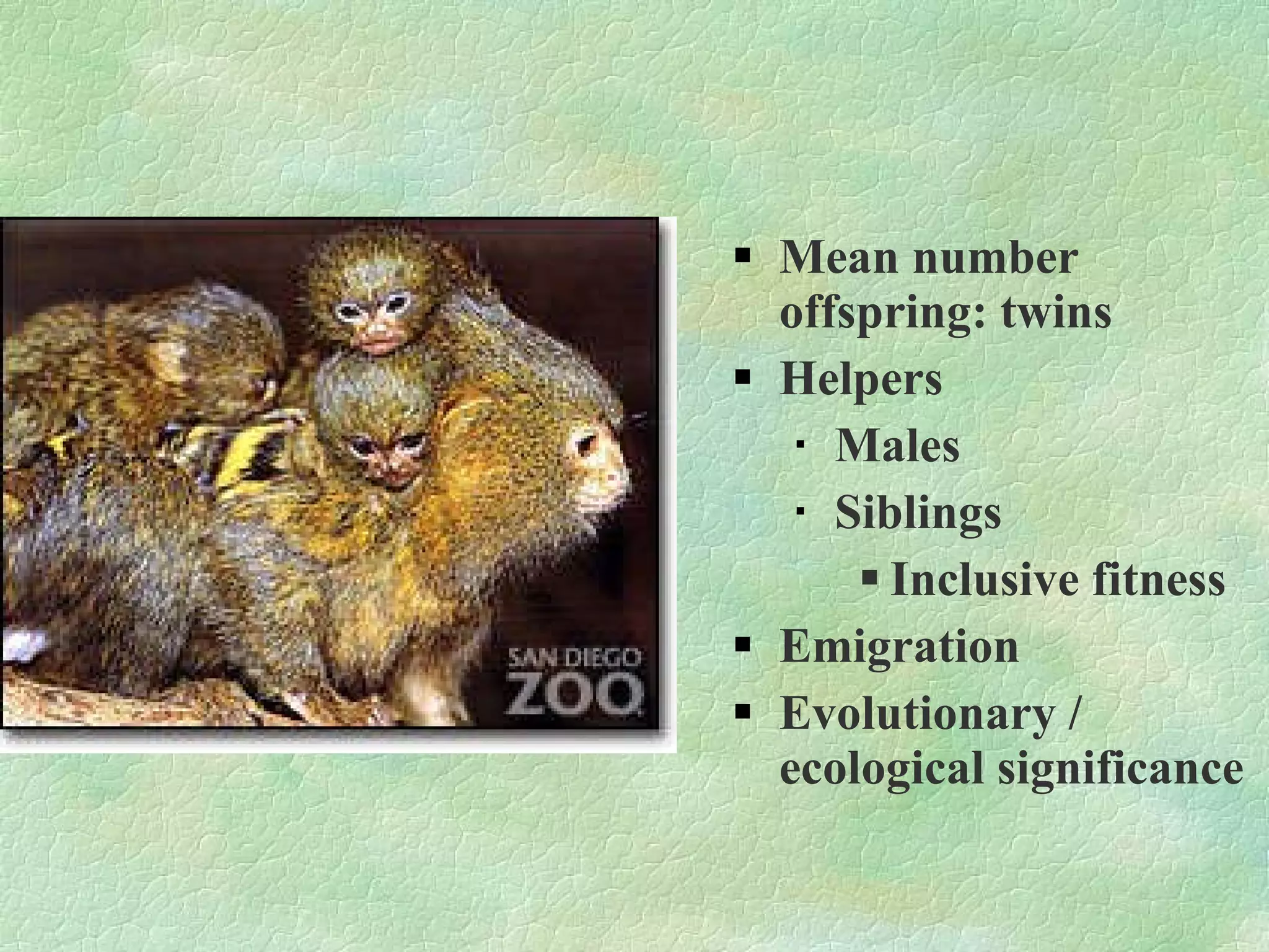 Primate social organization | PPT