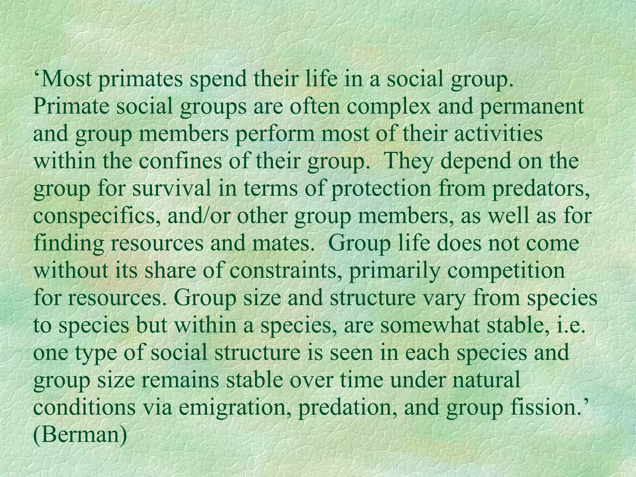 Primate social organization | PPT