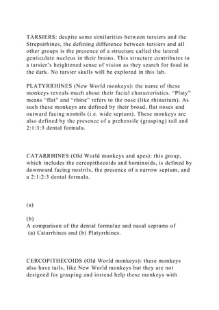 PRIMATES (ORDER) Suborder Infraorder S.docx
