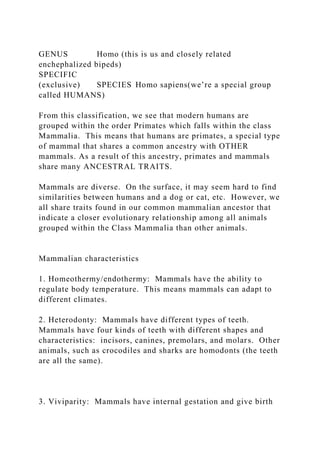 PRIMATES (ORDER) Suborder Infraorder S.docx