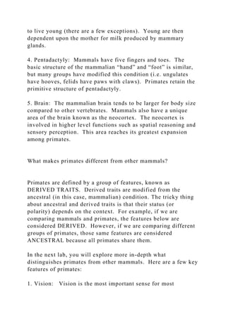 PRIMATES (ORDER) Suborder Infraorder S.docx