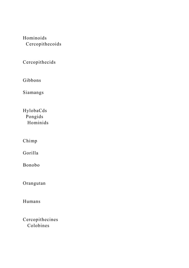 PRIMATES (ORDER) Suborder Infraorder S.docx