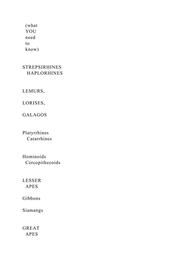 PRIMATES (ORDER) Suborder Infraorder S.docx