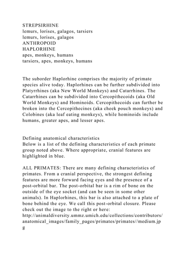 PRIMATES (ORDER) Suborder Infraorder S.docx
