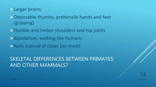 The primate study: cry from extinction | PPT