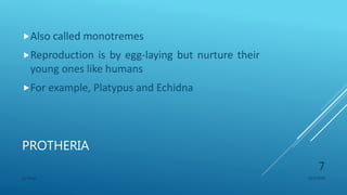 The primate study: cry from extinction | PPT