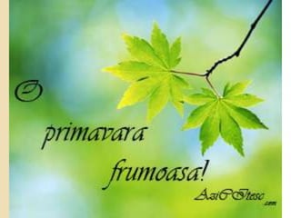 Primavara | PPTX