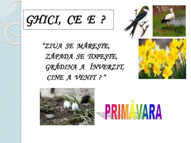 Primavara | PPT