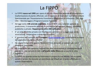 Piante officinali in Italia: struttura delle imprese secondo il punto ...