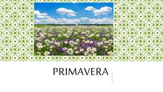 Vocabulari primavera educació infantil | PPTX