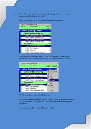 Primavera P6 basics-tips-and-tricks | PDF | Computer Software and Applications | Computing