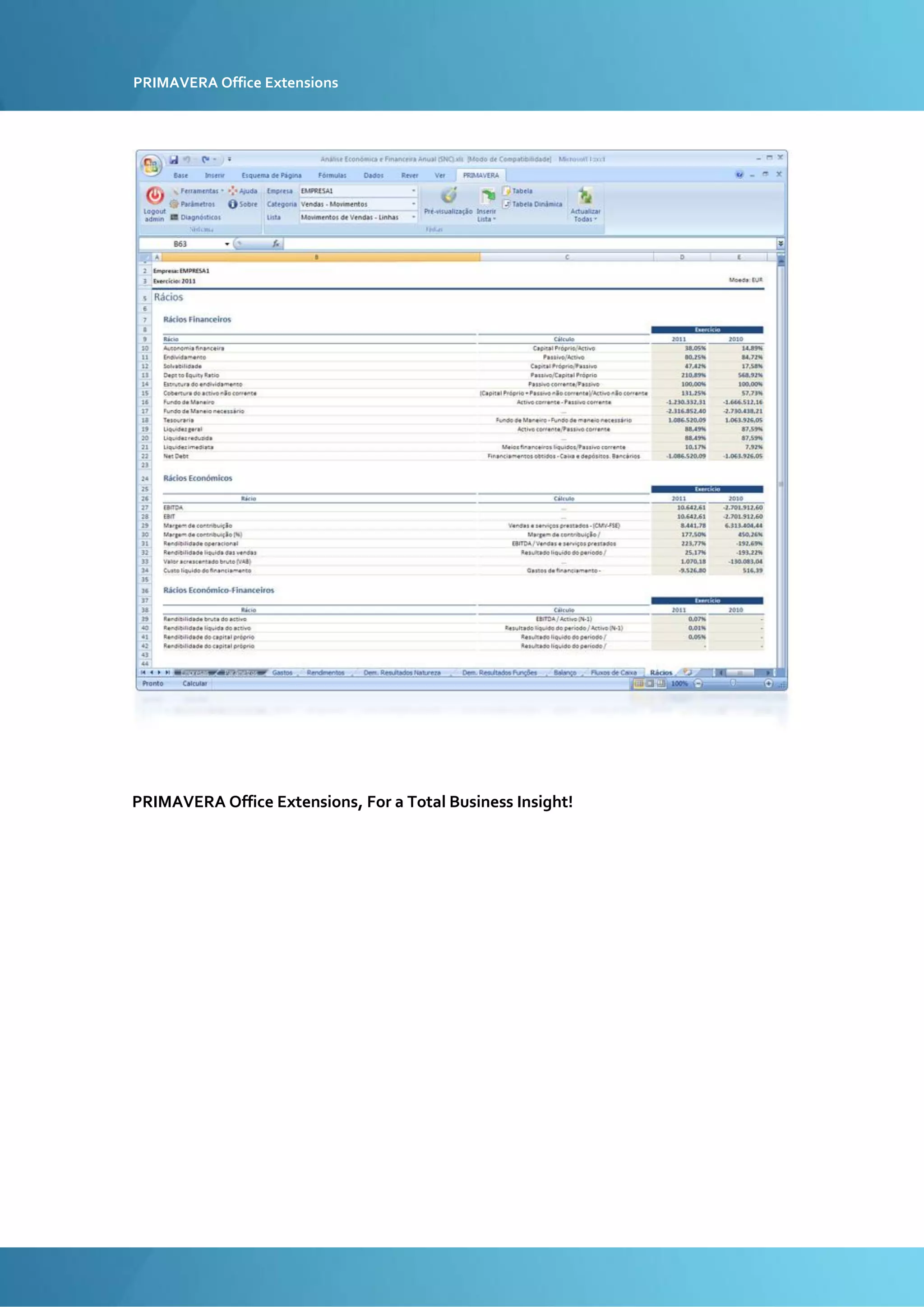 PRIMAVERA Office Extensions - Whitepaper (EN).pdf