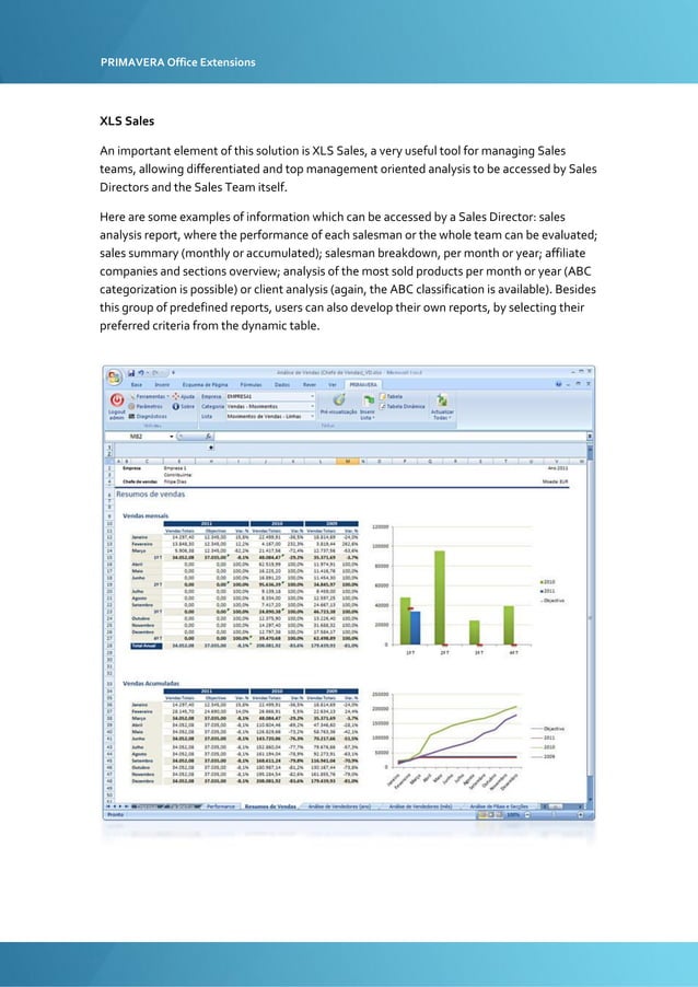 PRIMAVERA Office Extensions - Whitepaper (EN).pdf