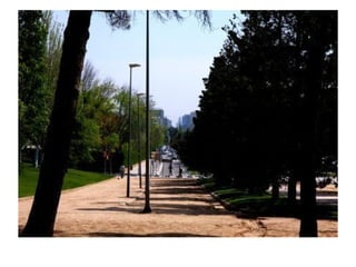 Primavera ok ok | PPT