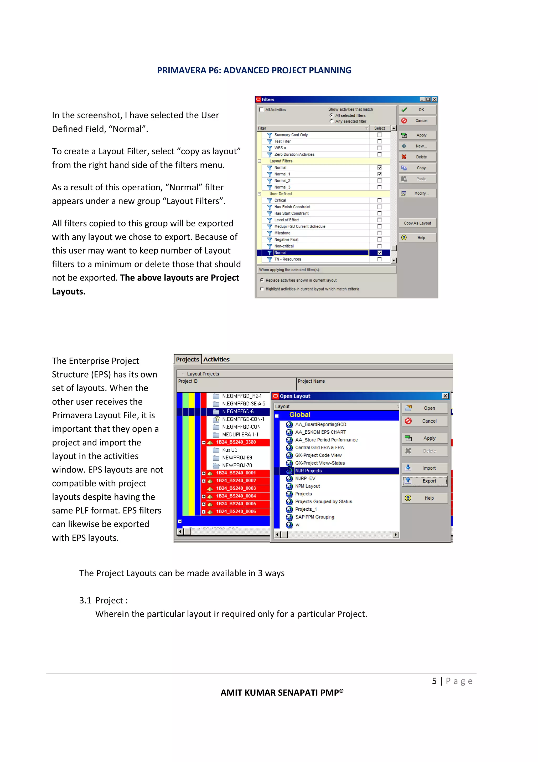 Primavera p6 advanced project planning | PDF