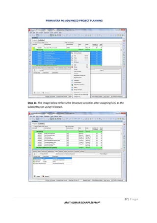 Primavera p6 advanced project planning | PDF