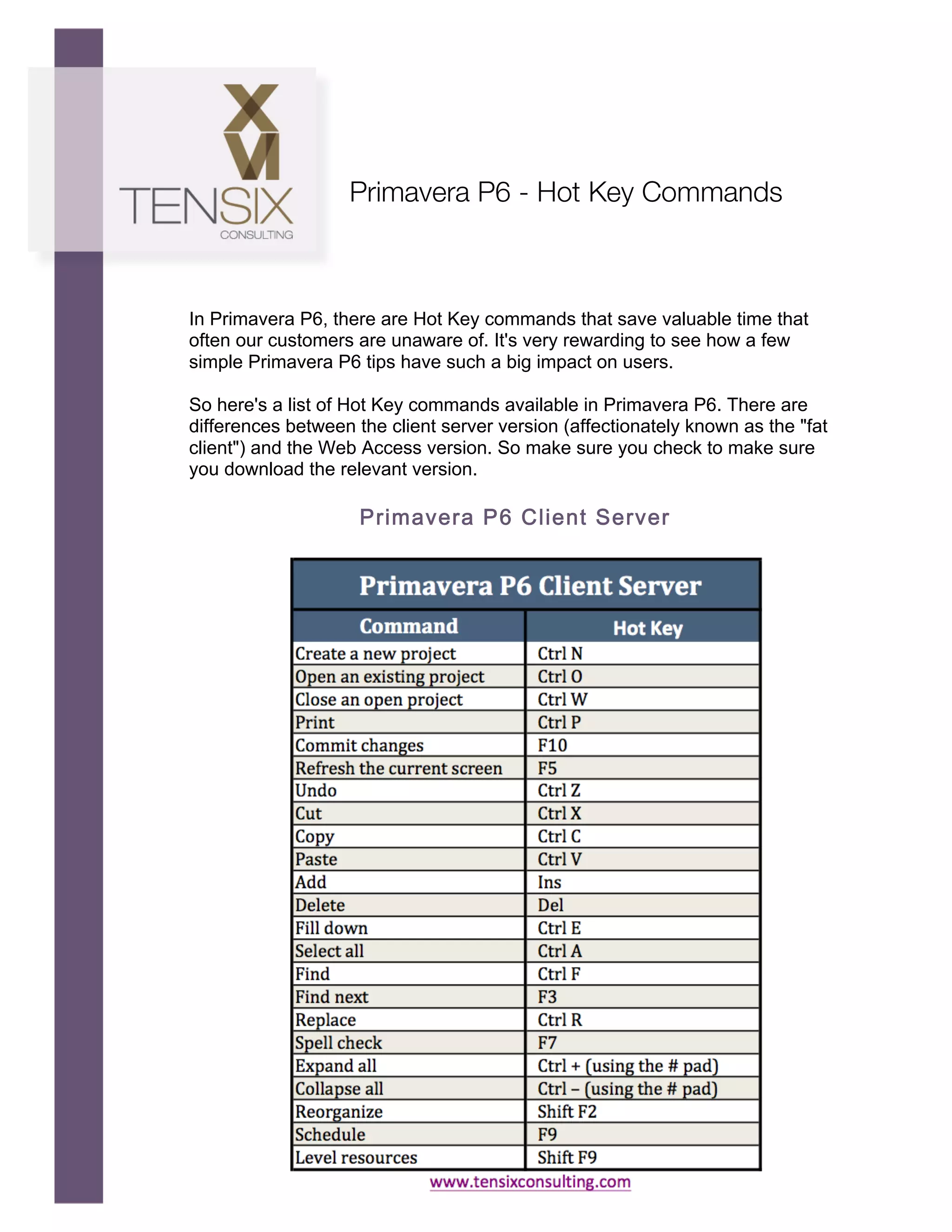 Primavera P6 Hot Keys | PDF