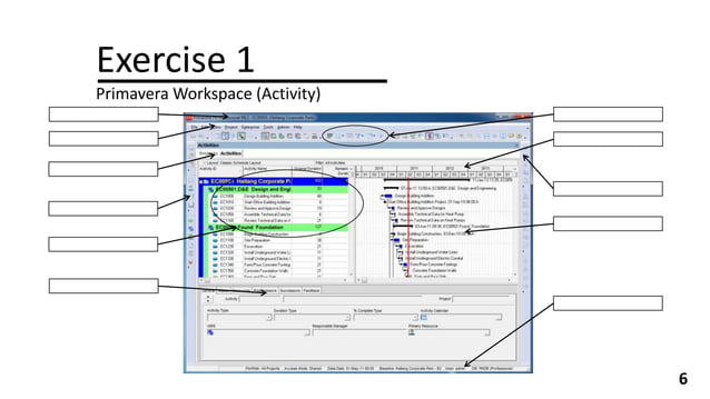 PRIMAVERA P6 manual.pptx