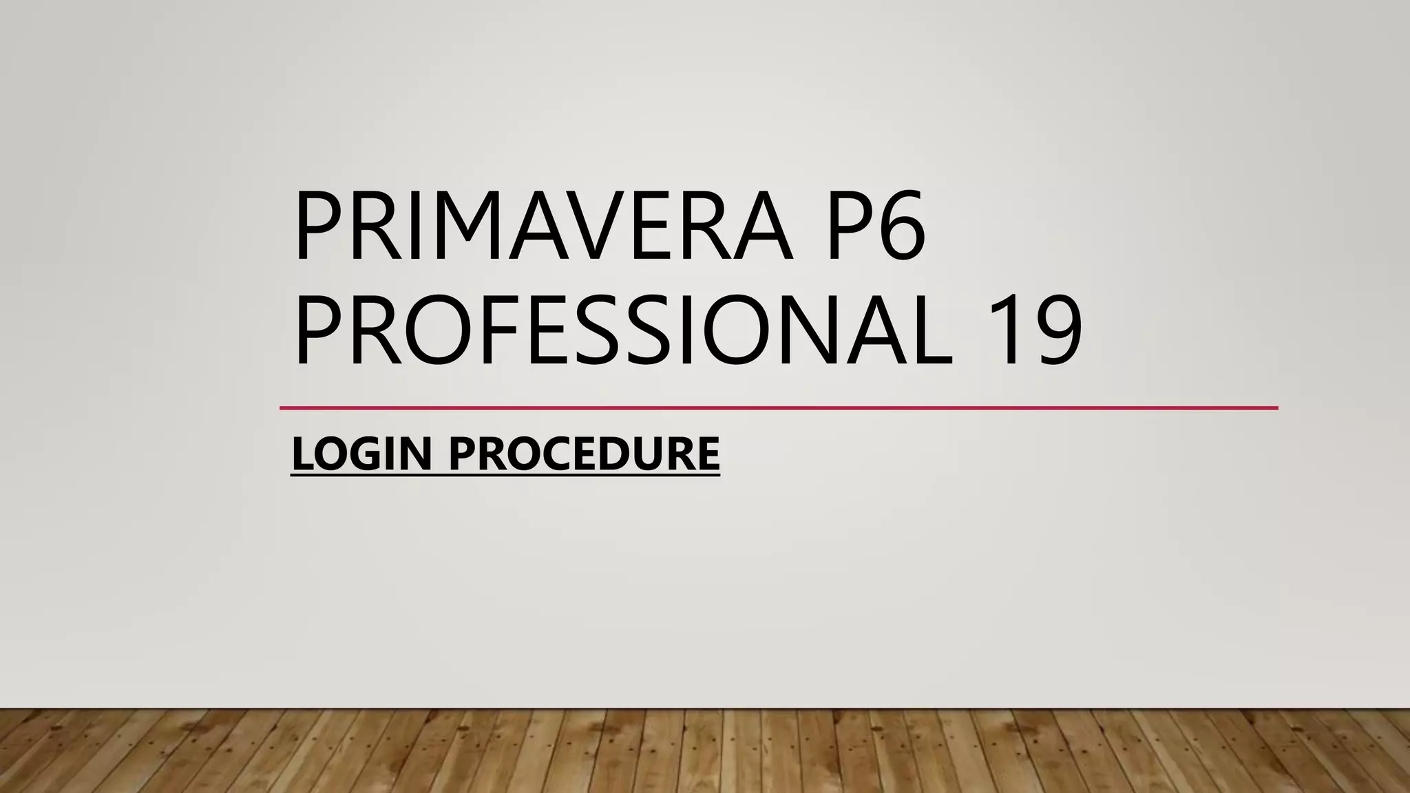 PRIMAVERA p6 Professional 19.pptx