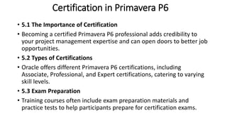 Primavera P6 Training.pptx