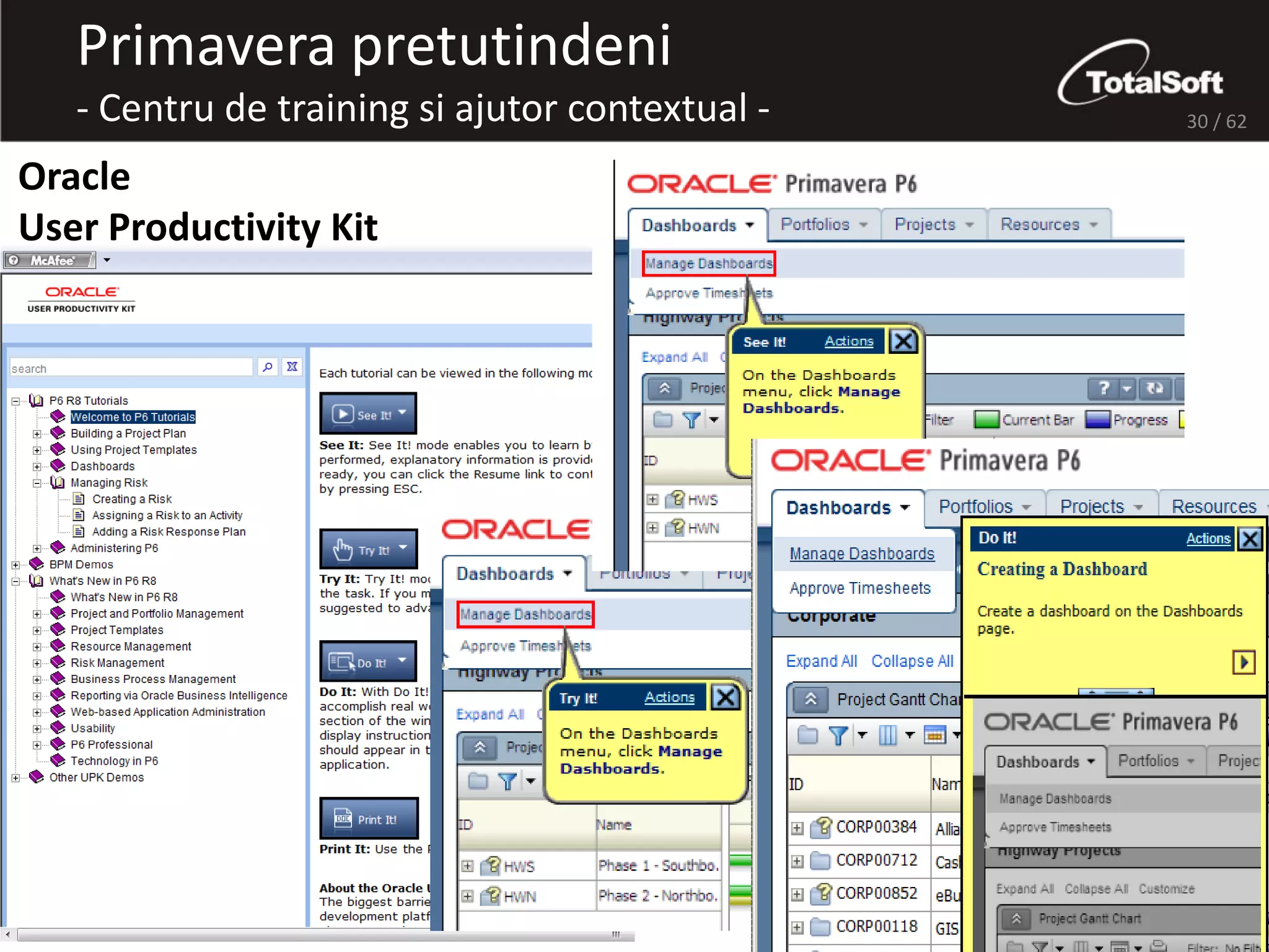 Primavera Project Portfolio Management | PDF