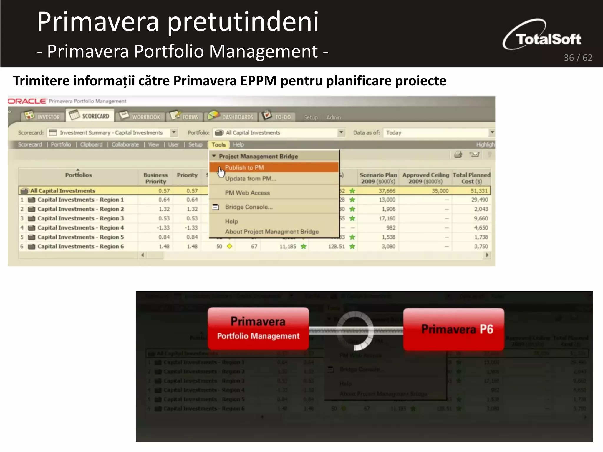 Primavera Project Portfolio Management | PDF