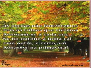 Primavera slides | PPT