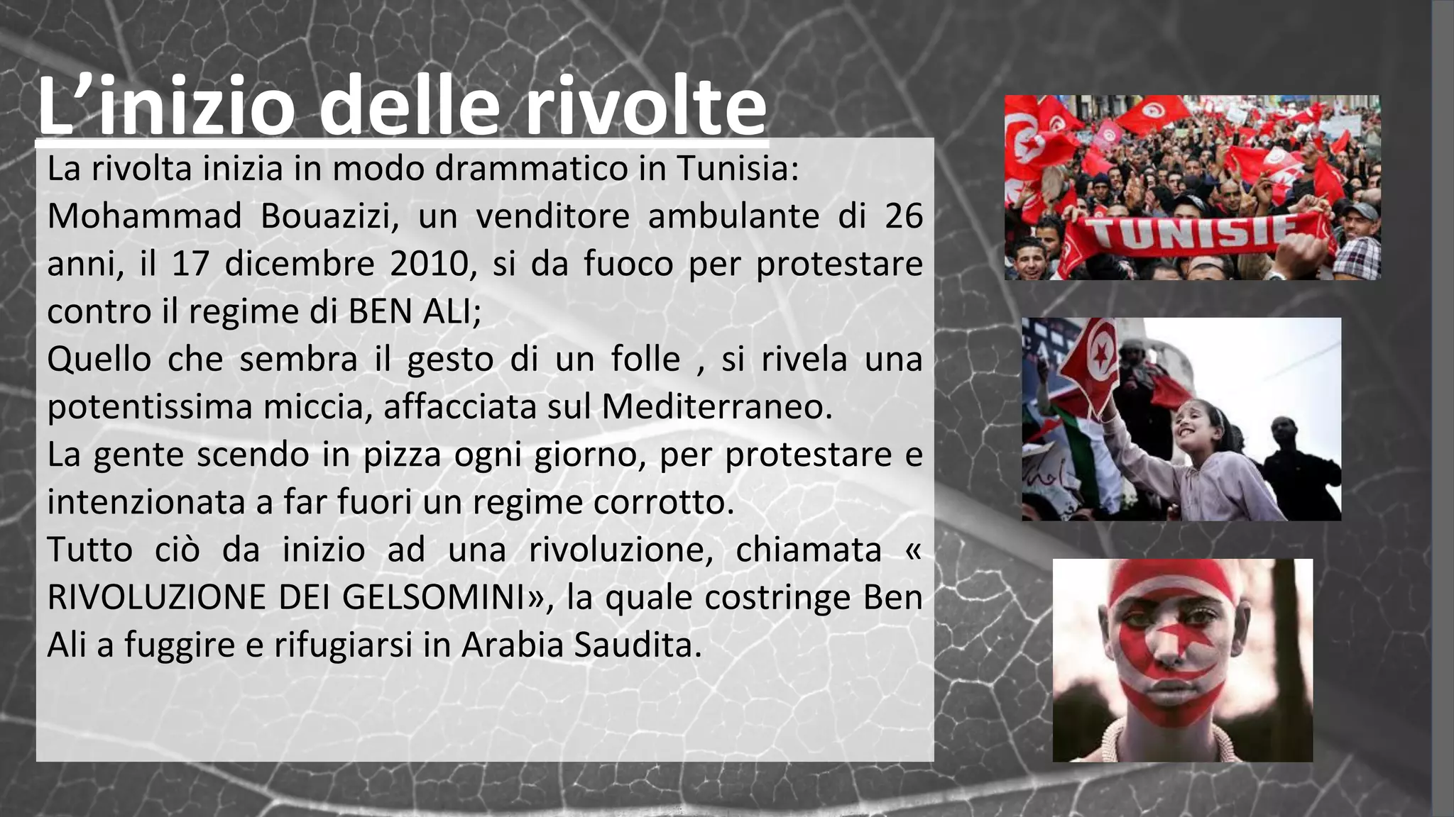 Primavere arabe.pptx (1) | PDF