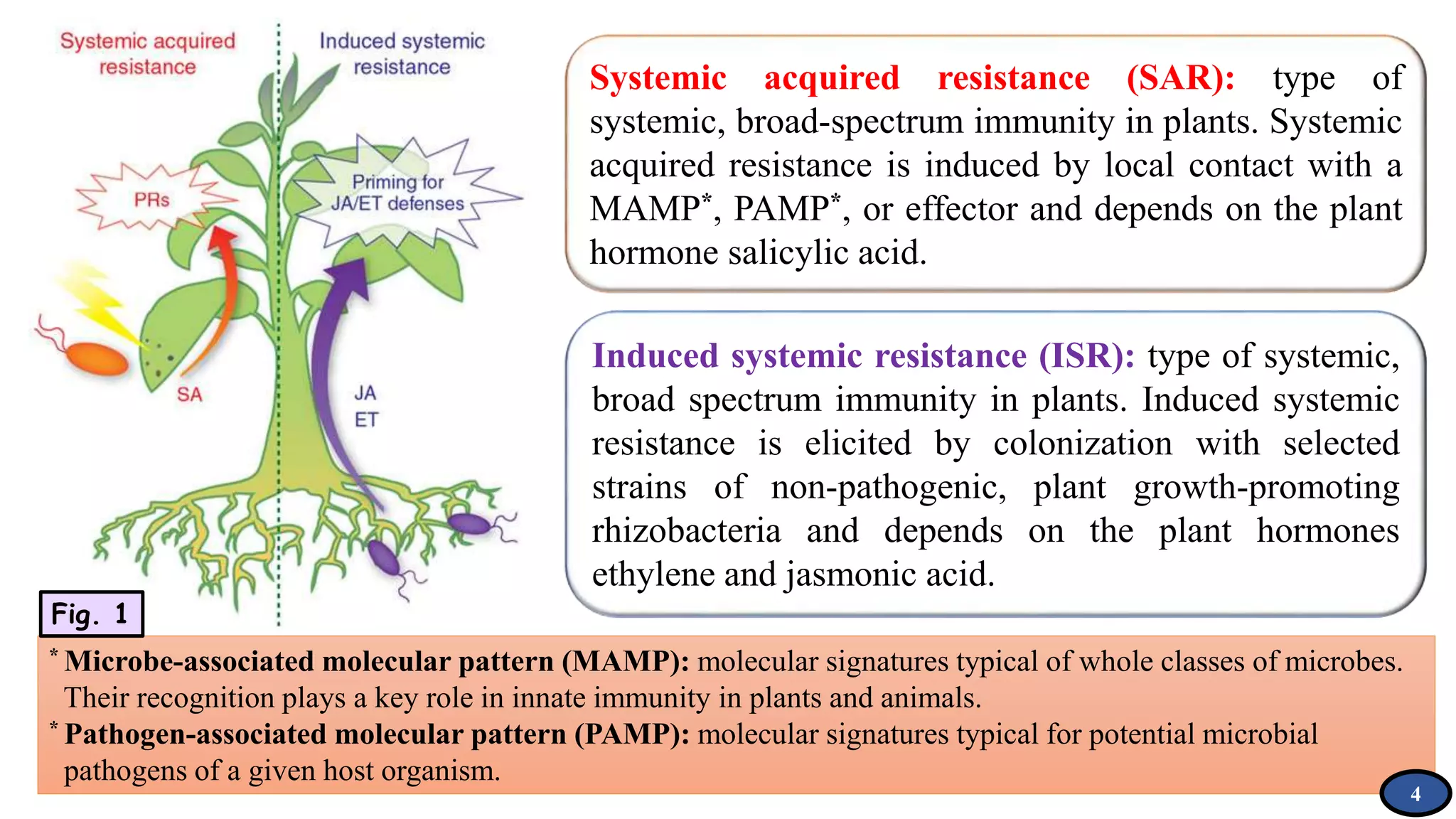 Prime-ome: "A molecular approach towards defense priming" | PPTX