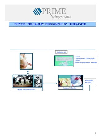 Prime diagnostics | PDF