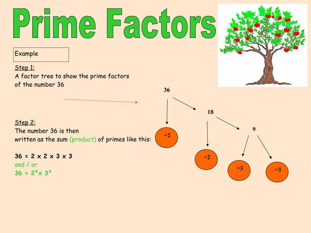 Prime Factorisation | PPT
