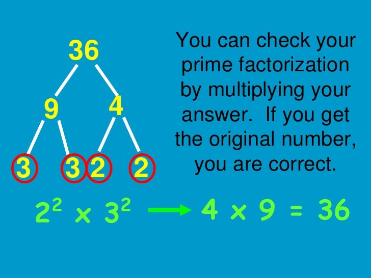 Prime Factorization