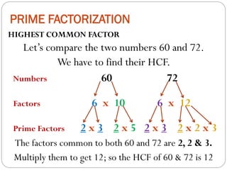 Mathematics for Grade 6: Prime Factorization - HCF | PDF