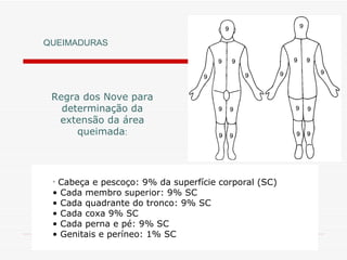 Primeiros socorros | PPT