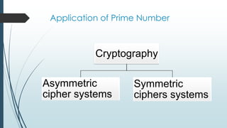 Prime numbers | PPSX