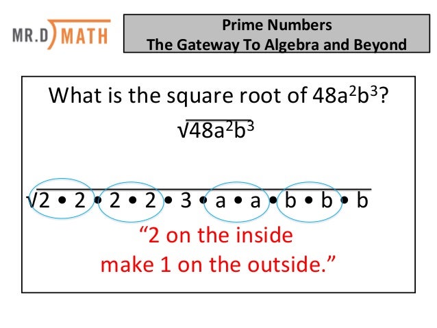 Prime Numbers: The Gateway To Algebra And Beyond!