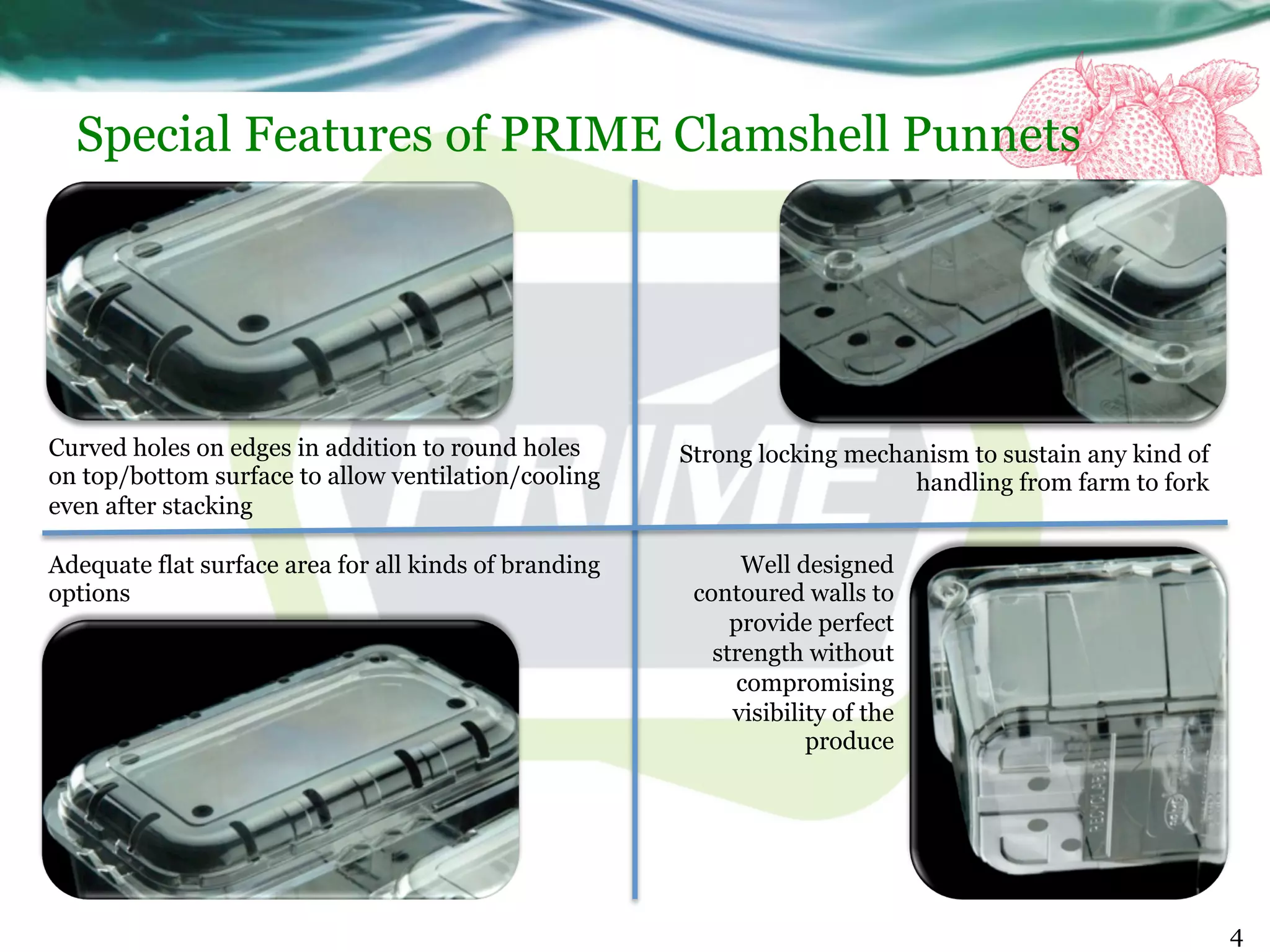 Prime Punnets Presentation | PDF