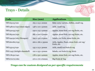 Prime Punnets Presentation | PDF | Gardening | Home & Garden