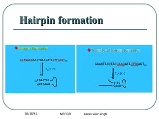 PCR Primer desining | PPT