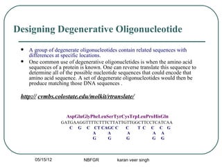 PCR Primer desining | PPT