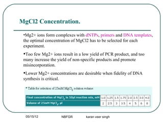 PCR Primer desining | PPT