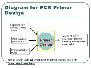 PCR Primer desining | PPT