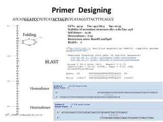 Primer designing presentation by sanju sah | PPT